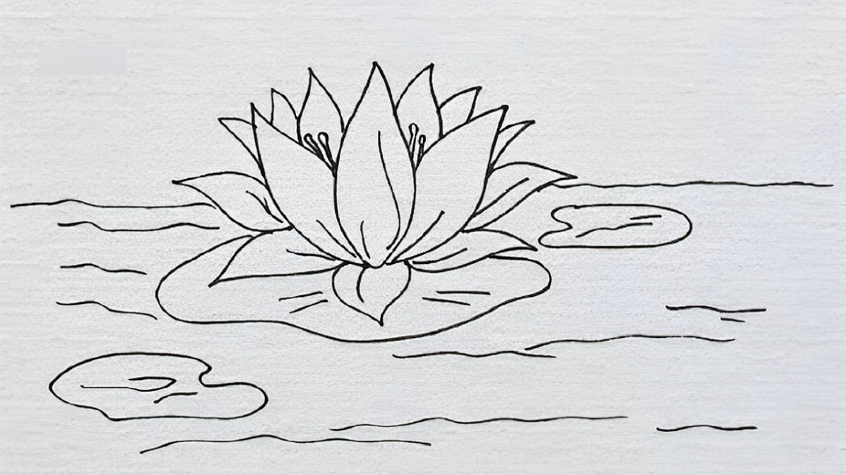 Vẽ hoa sen: 20 cách vẽ đẹp, đơn giản dễ dàng thực hiện